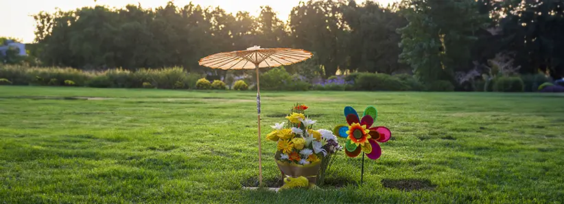 2. Corte de pasto: Realizamos cortes de pasto regulares, teniendo en ...