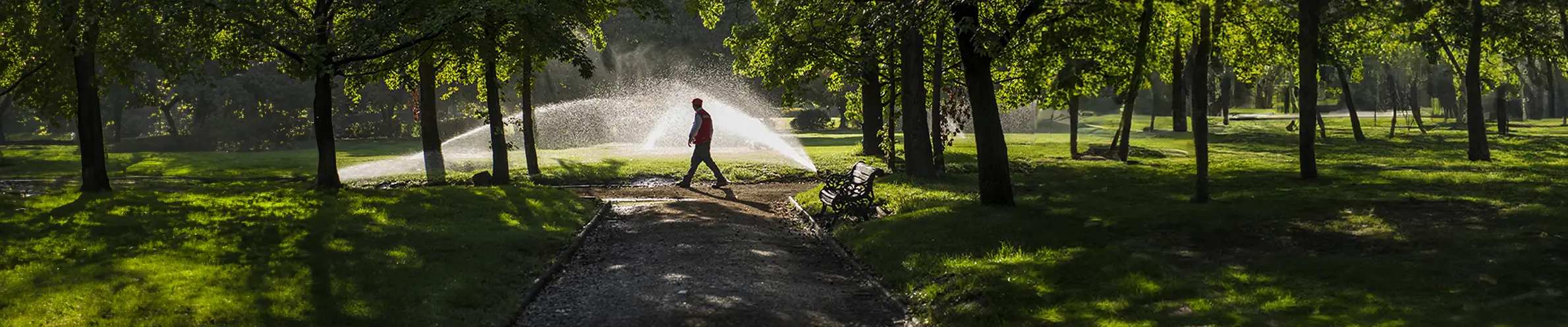 Nos Importa Mantenerte Informado: Cuidando Nuestros Espacios Verdes